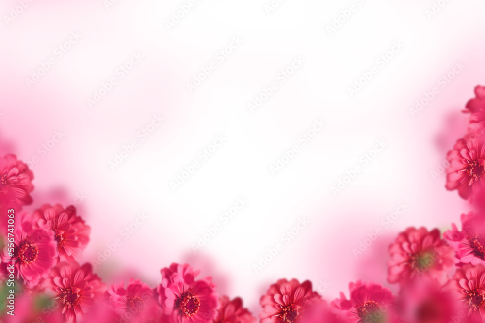 pink flowers border photo frame with white background Stock ...