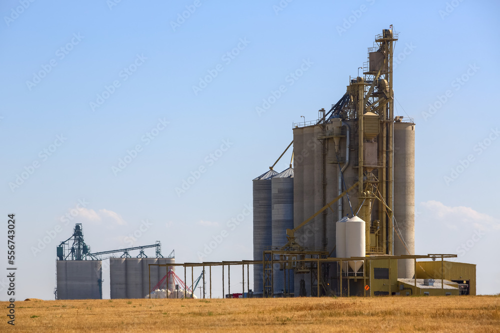 Automated grain terminal with silos and bins for loading cereal crops ...