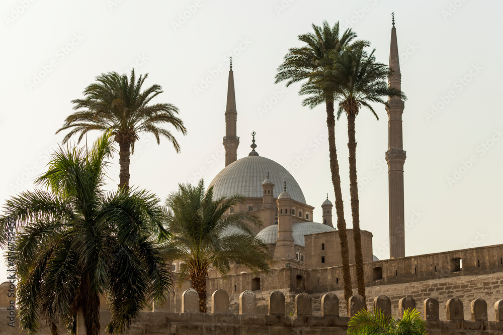 Exterior view of the Mohammed Ali Mosque with its domes and minarets at ...