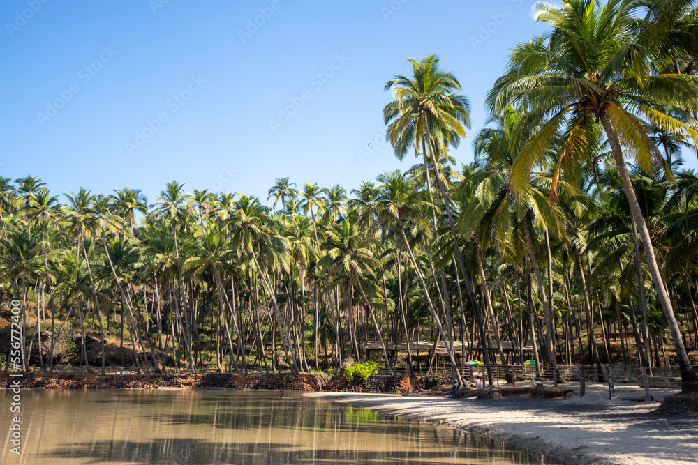 Coastal lagoon on the Beach of Cabo de Rama at Cabo Serai; Cabo de Rama ...