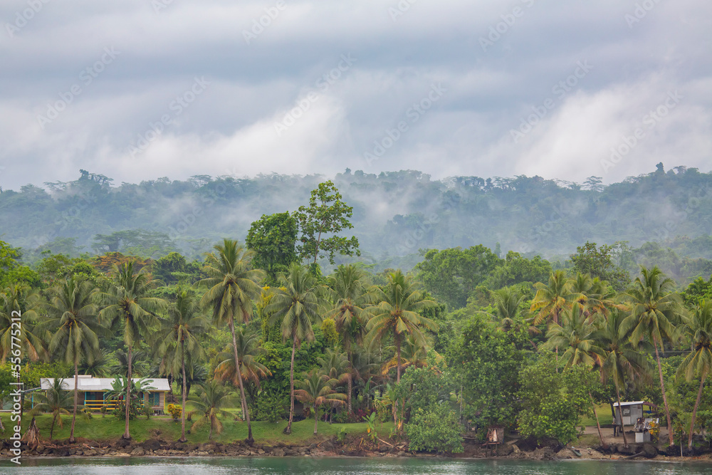 Jungle and shoreline village of Siboma with huts on stilts on Lababia ...