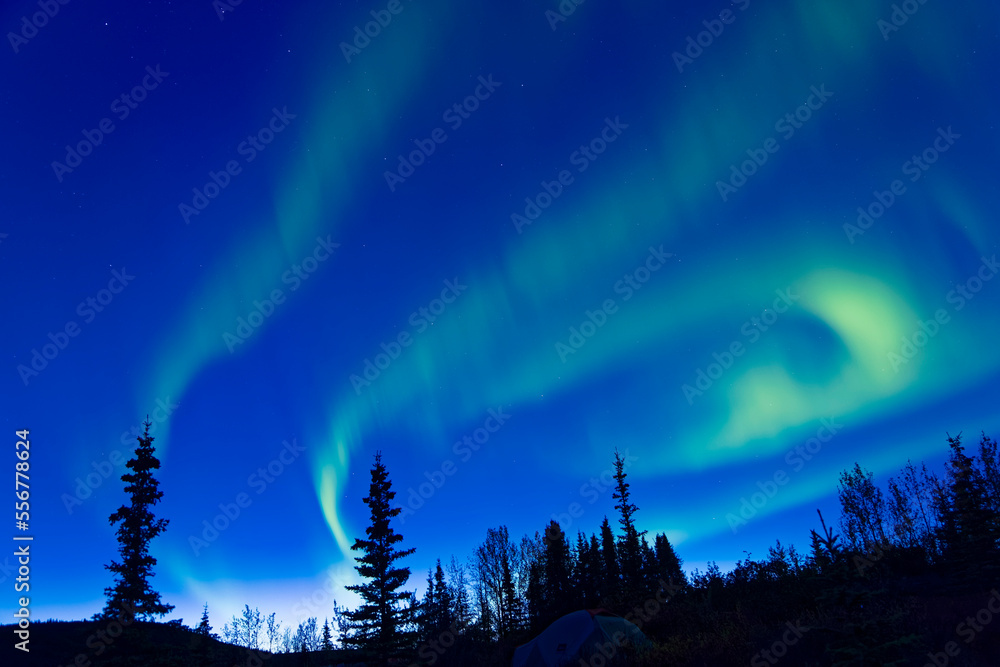 Northern Lights swirling over Wonder Lake Campground in Denali National ...
