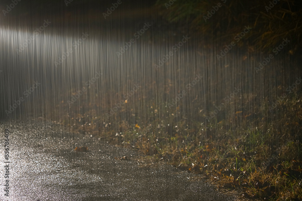 heavy rain at night before car light Stock Photo | Adobe Stock