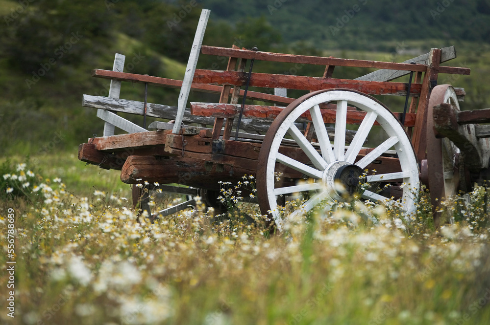 Old farm cart near Hosterial Las Torres, Torres del Paine National Park ...