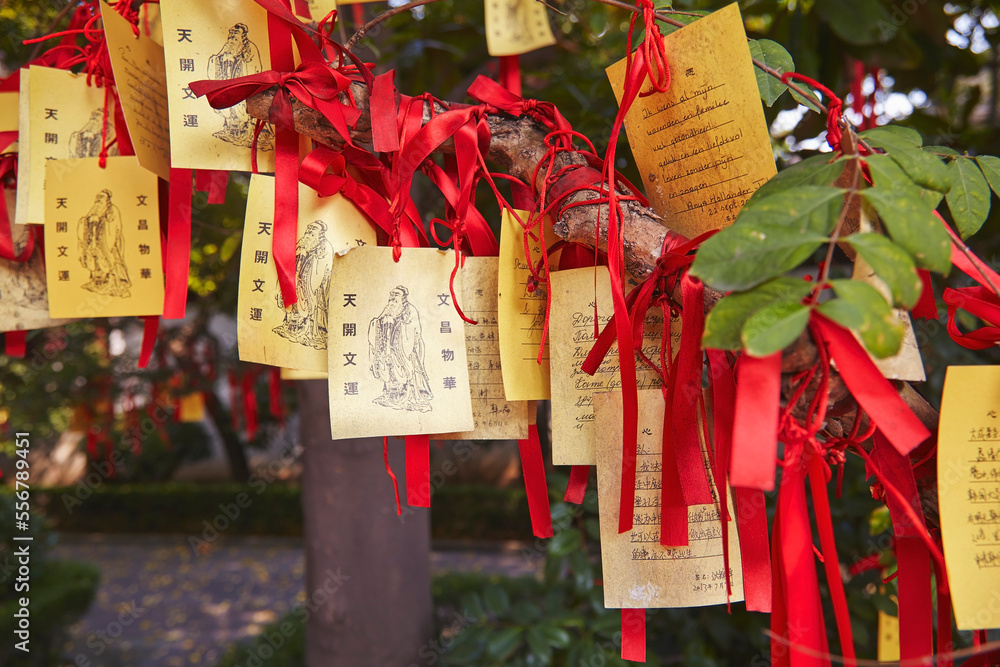 Good luck wishes tied to a tree in the Confucian Temple, Shanghai ...