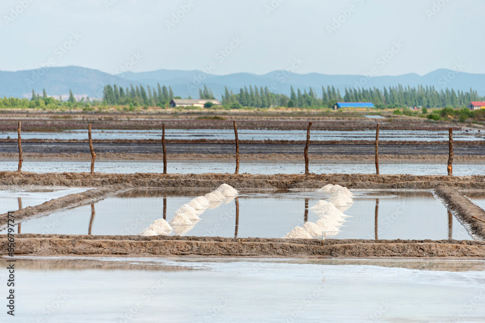 Rice fields on farmland with piles of yielded rice; Kampot, Cambodia ...
