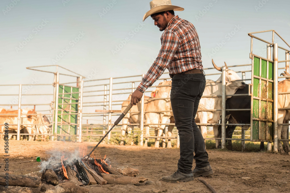 Cowboys with a campfire to heat a traditional branding iron heated on a ...