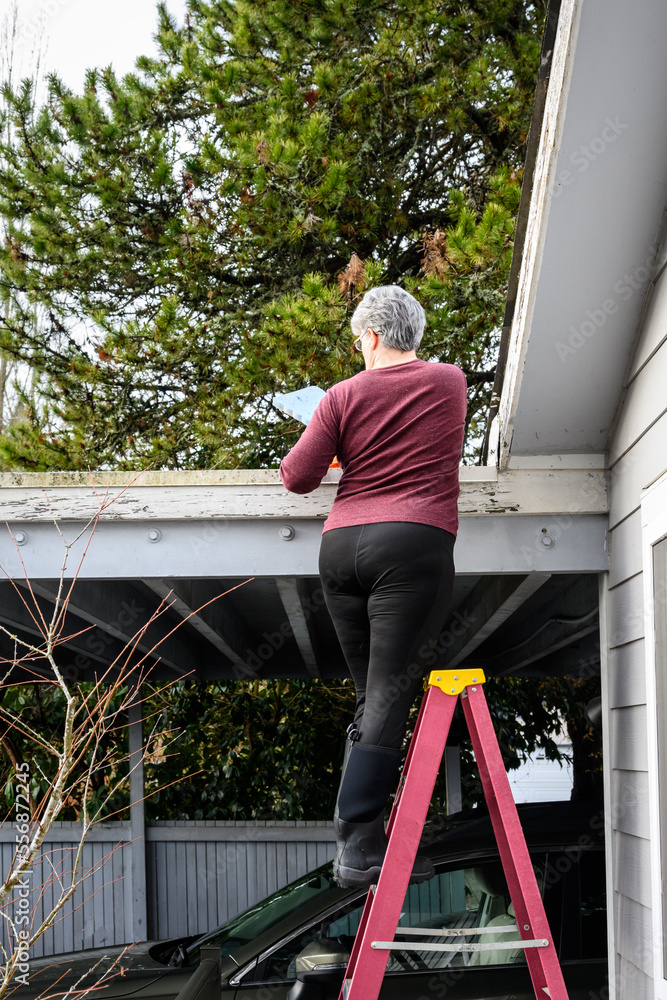 Middle aged woman climbing a ladder to a carport flat roof for storm ...