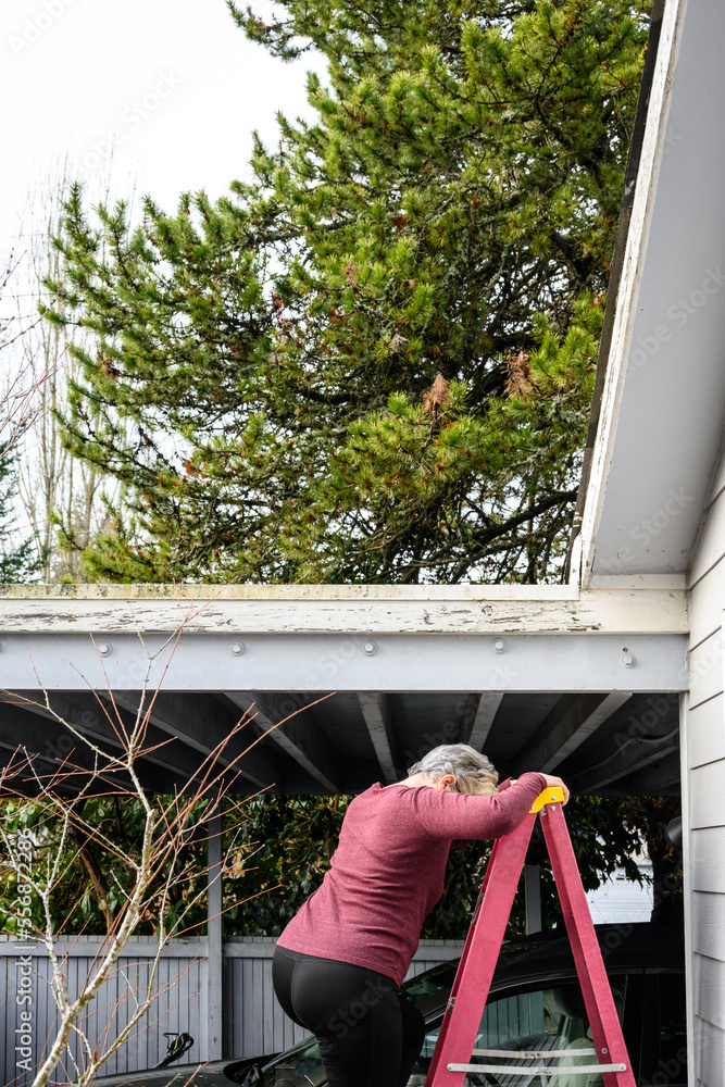 Middle aged woman climbing a ladder to a carport flat roof for storm ...