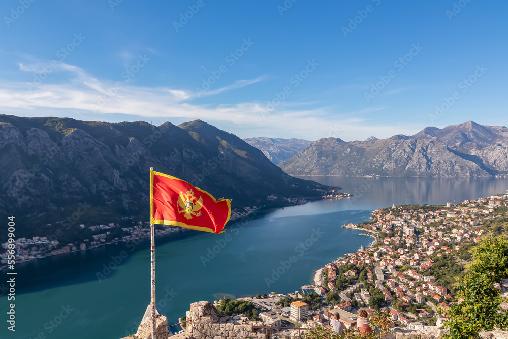 Balkan Peninsula Flag