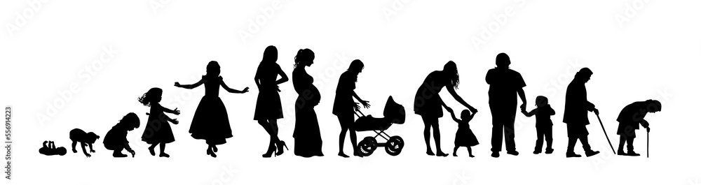 Editable vector silhouettes of different stages of a woman's life ...