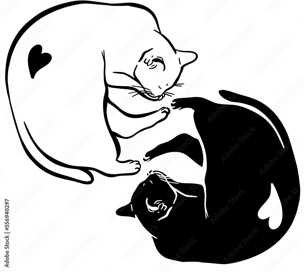 Yin and Yang Chinese symbol made of two black and white cats lying in ...