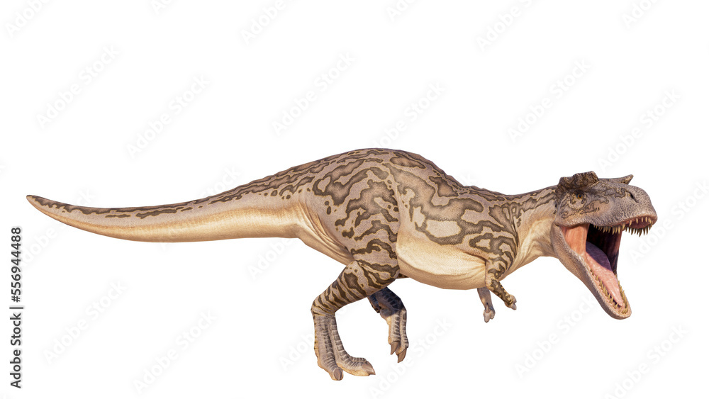 Albertosaurus PNG. Dinosaur Albertosaurus on a blank PNG high ...