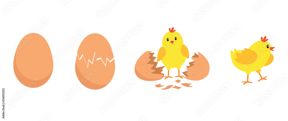 Chicken Hatching Clipart