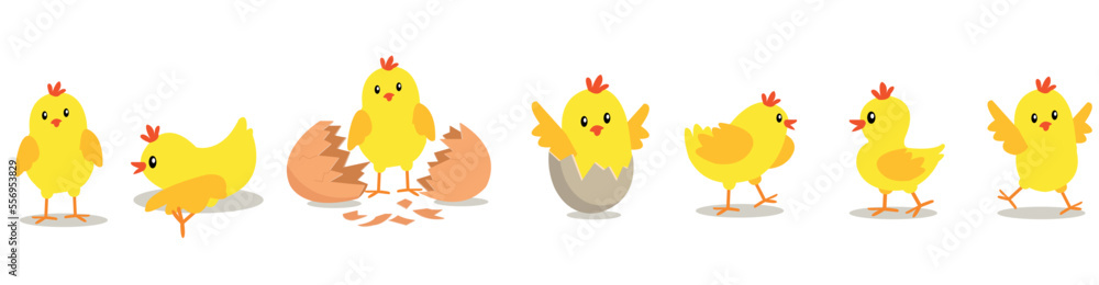 Chicken hatching from the egg. Cartoon baby chick birthday step-by-step ...