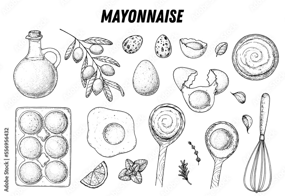 Mayonnaise sauce cooking and ingredients set. Hand drawn sketch ...