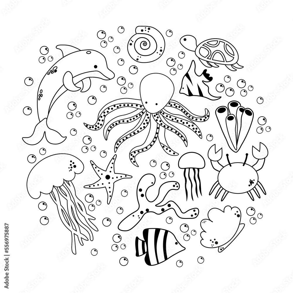 Ocean flora and fauna in the circle shape. Sea animals drawn in line ...