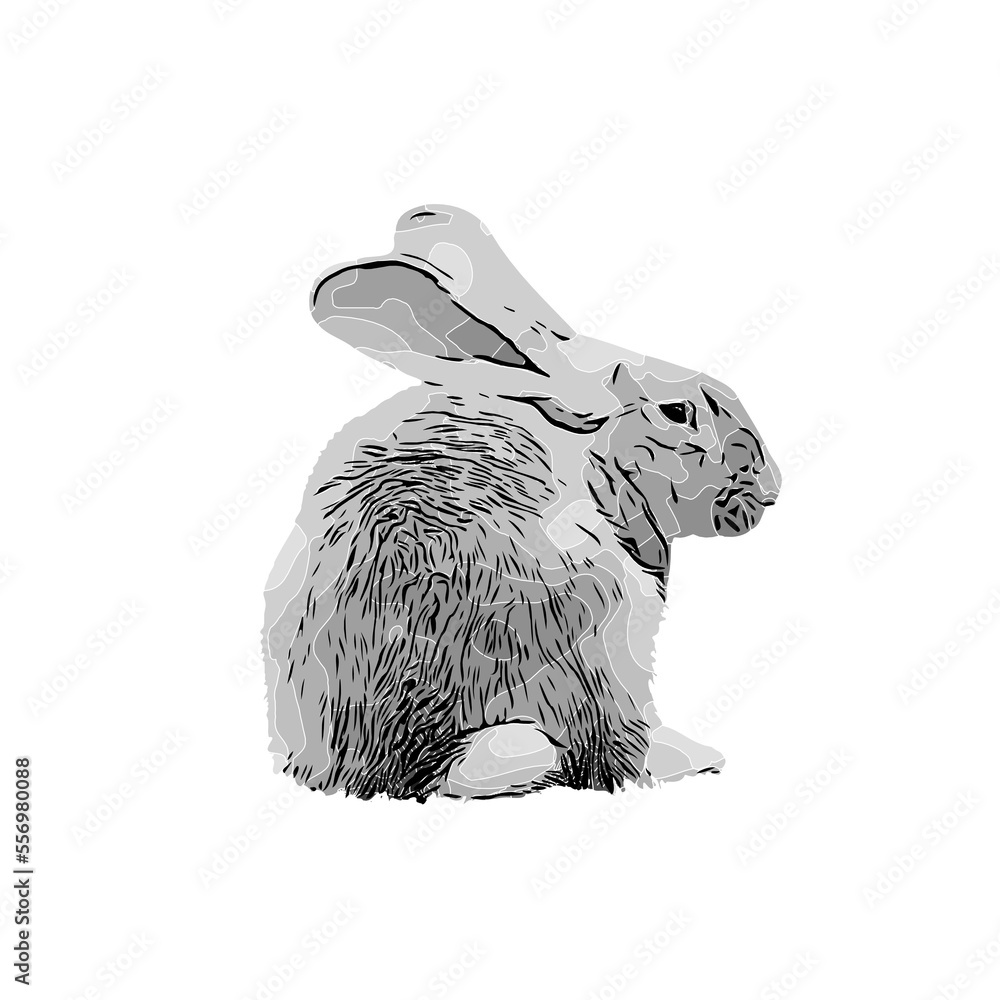 black and white drawing sketch of a rabbit with a transparent ...