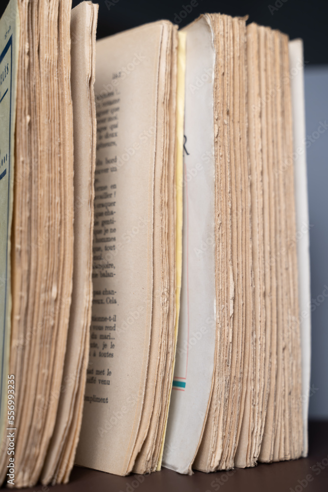 pages de livres anciens vus sur la tranche Stock Photo | Adobe Stock