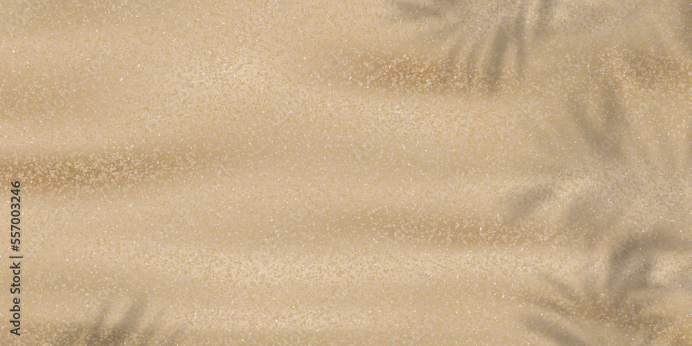 Sand beach texture with Palm leaf shadow background.Horizon Coastal ...