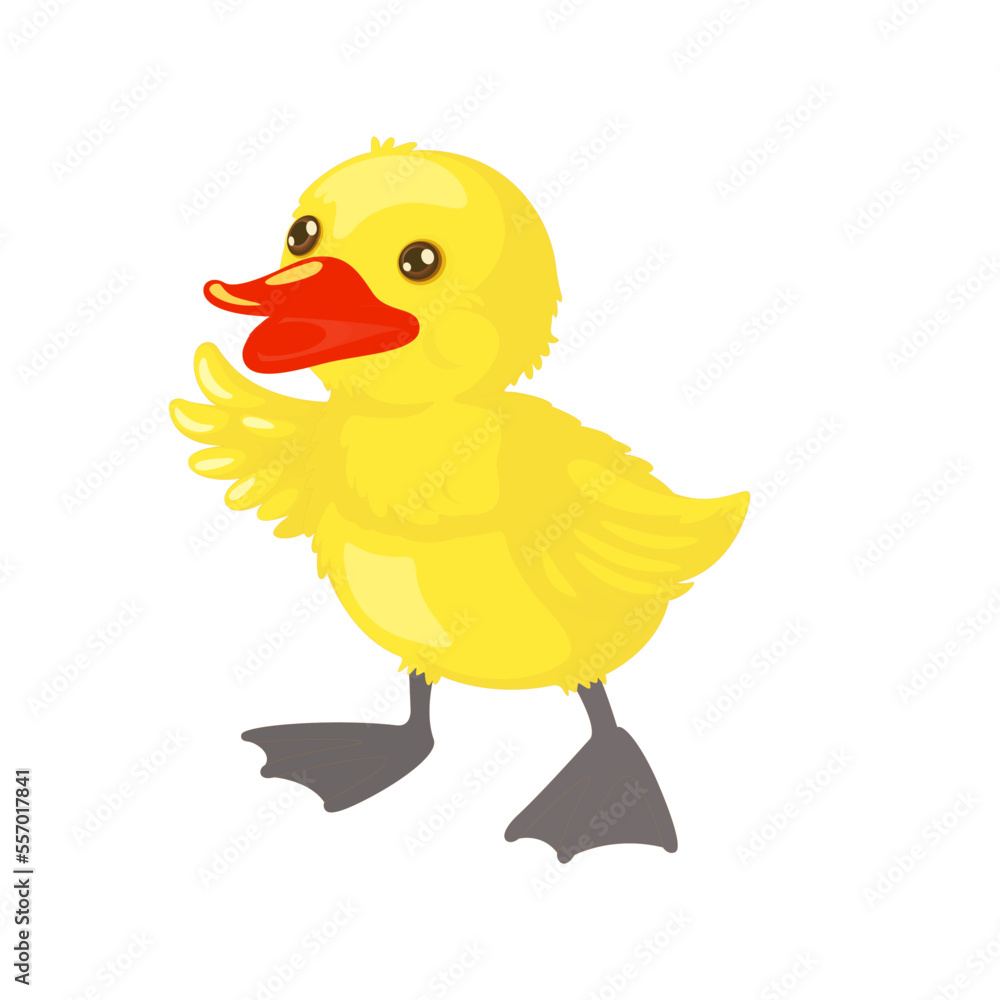 Vector cartoon chick vector illustration farm animal isolated on white ...