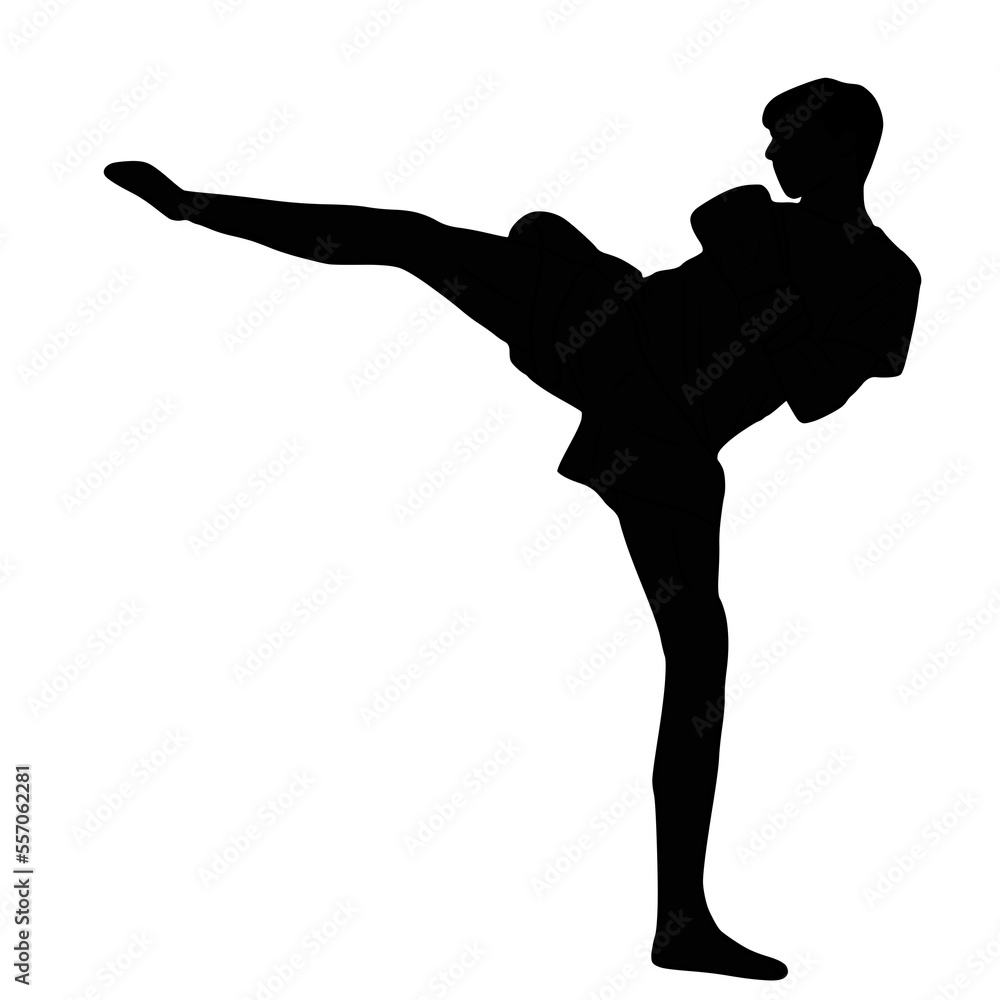 Karate Kämpfer Kick Transparent PNG Kampfsport Silhouette Stock ...