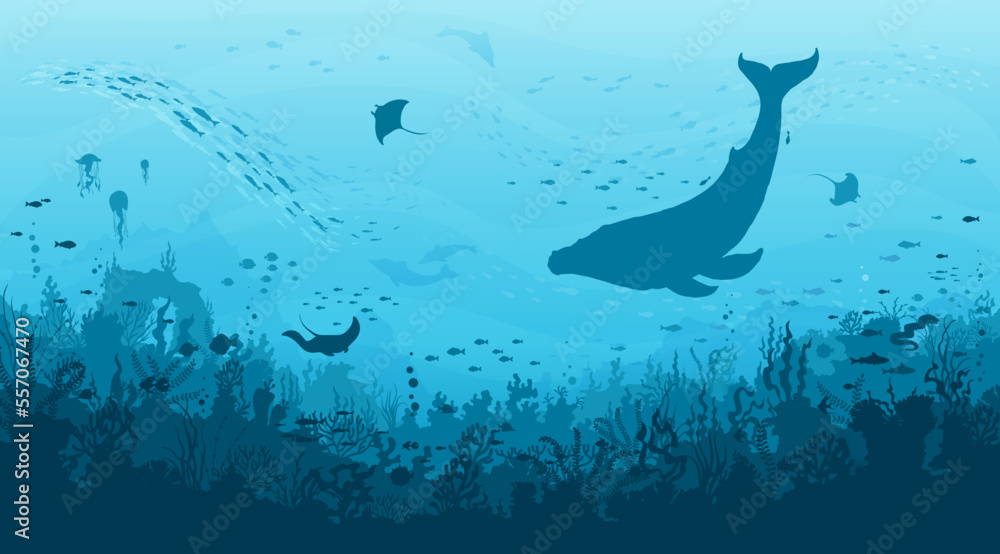 Underwater landscape, sperm whale, fish shoal and manta ray in seaweeds ...