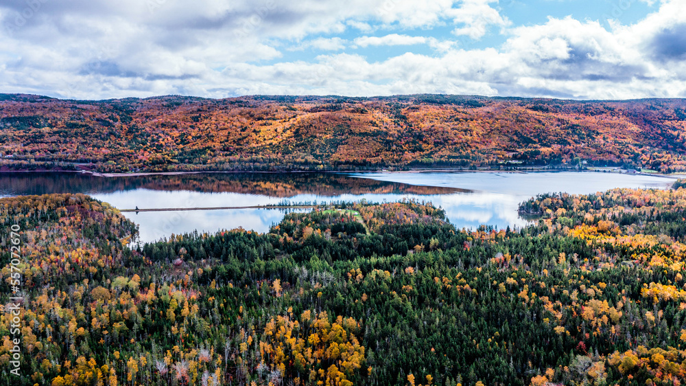Autumn Colors in Forest, Drone view of Cape Breton Island, Forest Drone ...