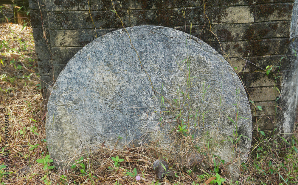 Lichen on Vintage Round concrete slab, Stone Grinding. Background of ...