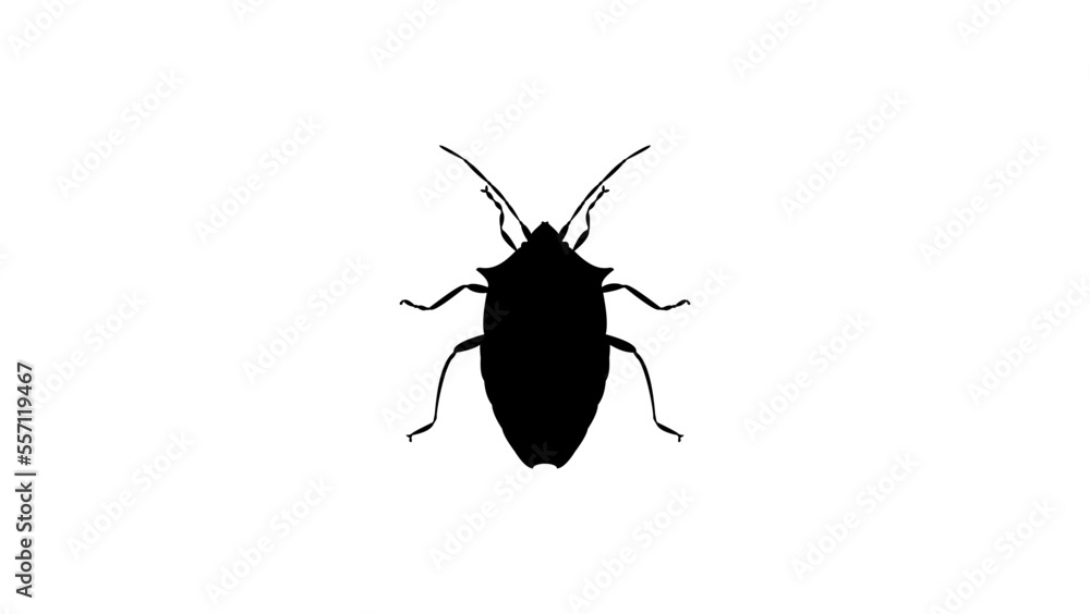 Spined Green Stink Bug silhouette, high quality vector Stock Vector ...