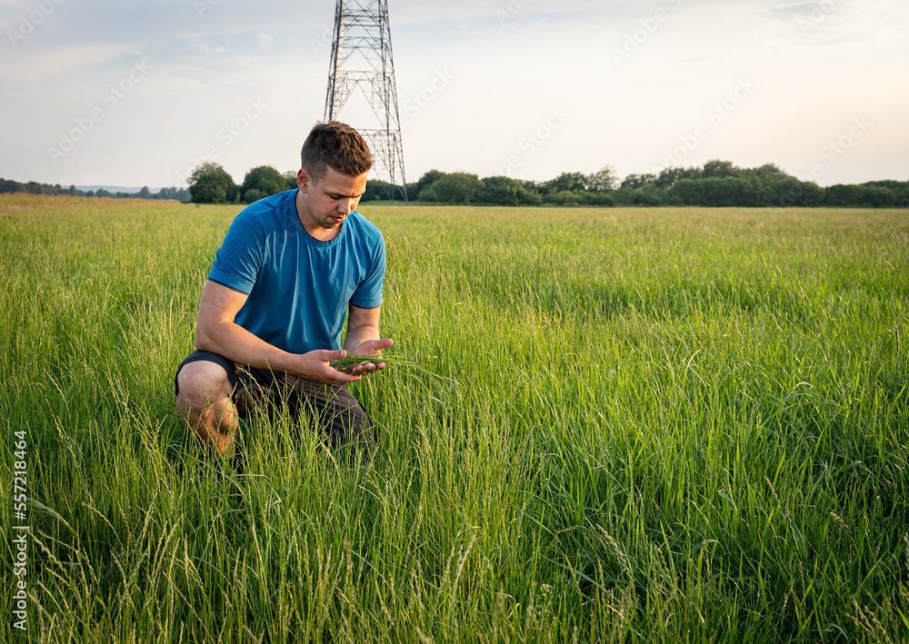 Junger Landwirt kniet auf einer Graswiese und begutachtet die Pflanzen ...
