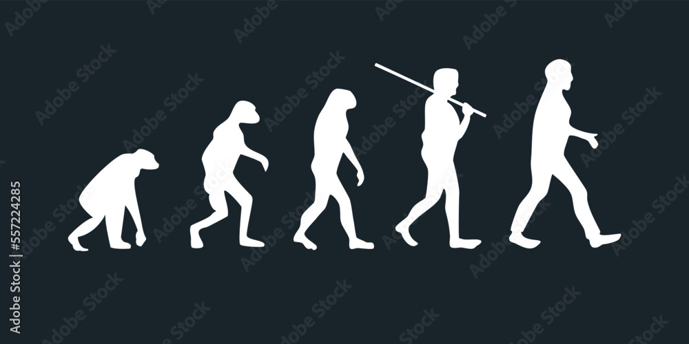 human evolution It was an evolutionary process that led to the ...