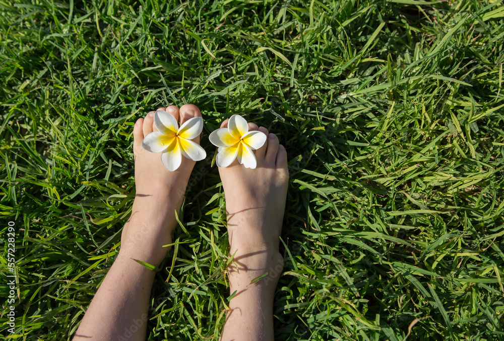 child's bare feet lie on a green lawn, two plumeria flowers between the ...