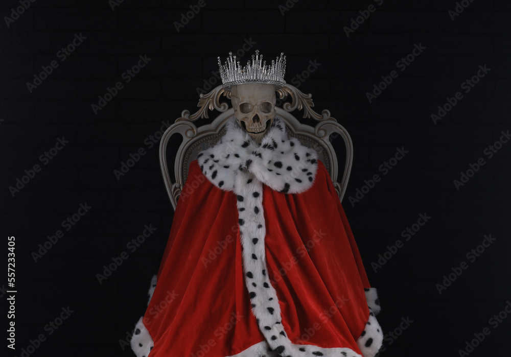 skeleton king in royal chair Stock Photo | Adobe Stock