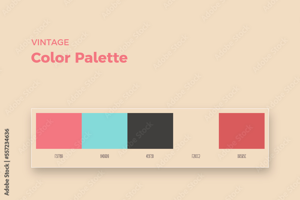 Vector vintage color palette set catalog samples in rgb hex. new ...