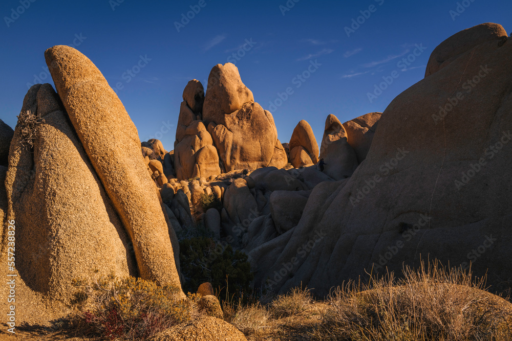 Joshua Tree National Park Hiking Trail Landscape Series, rugged rock ...