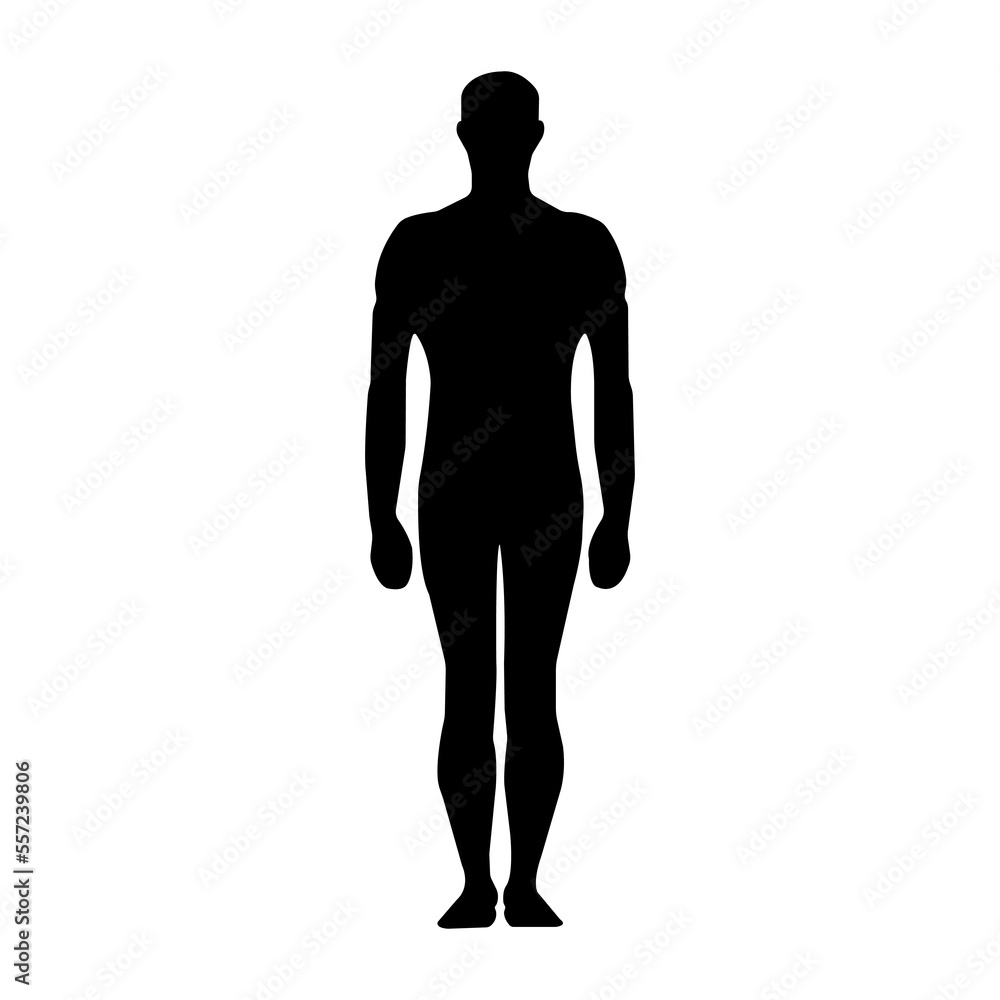 Human Front Side Silhouette Isolated On White Background Vector