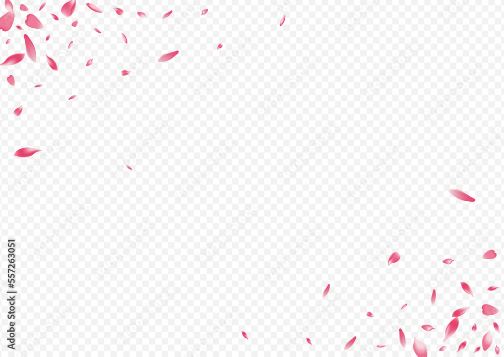 Red Cherry Vector Transparent Background. Rose Stock Vector | Adobe Stock