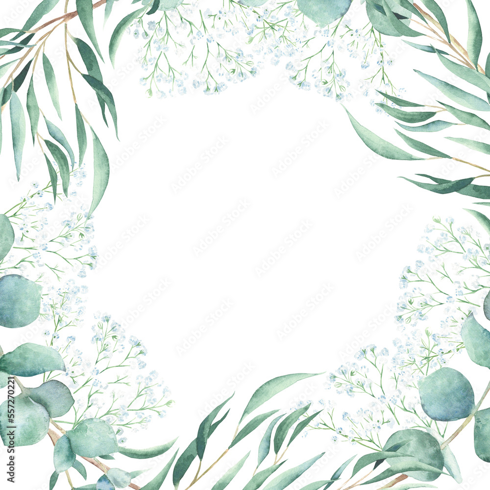 Eucalyptus and gypsophila. Watercolor greenery square frame. Hand drawn ...