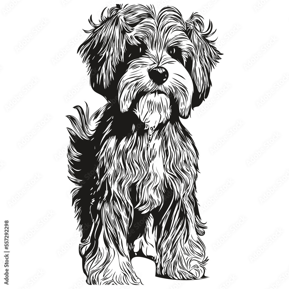 Havanese dog hand drawn line art vector drawing black and white logo ...
