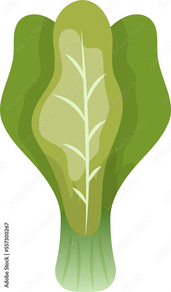 Comic cartoon vector of lettuce or cabbage Stock Illustration | Adobe Stock