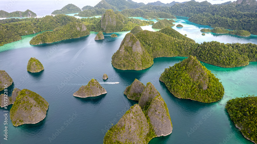 Poster Aerial view of Wayag Islands, Raja Ampat Indonesia. – Wall Art ...