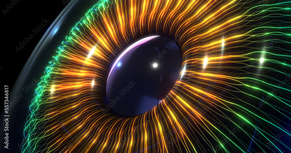 Digital artificial intelligence human eye formed by fiber optics ...