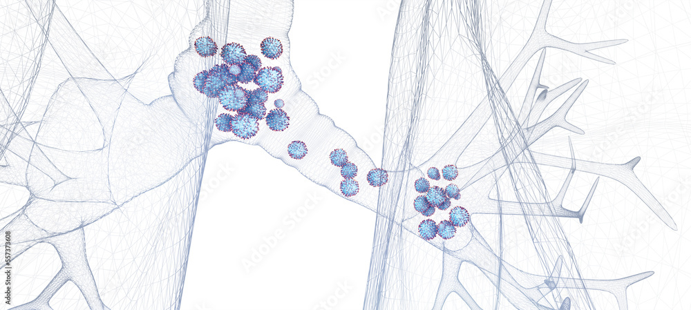 Respiratory syncytial virus particles, Stock Illustration | Adobe Stock