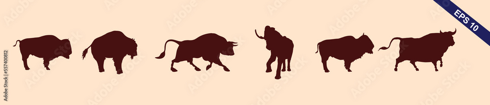 Bull set. Stylized silhouettes of standing in different poses and ...