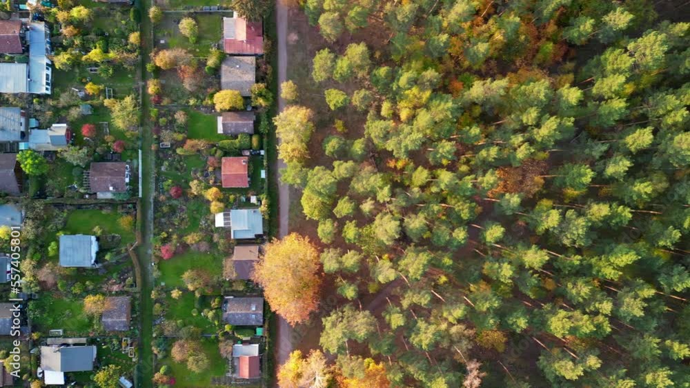 Small path between garden area and coniferous forest. Amazing aerial ...