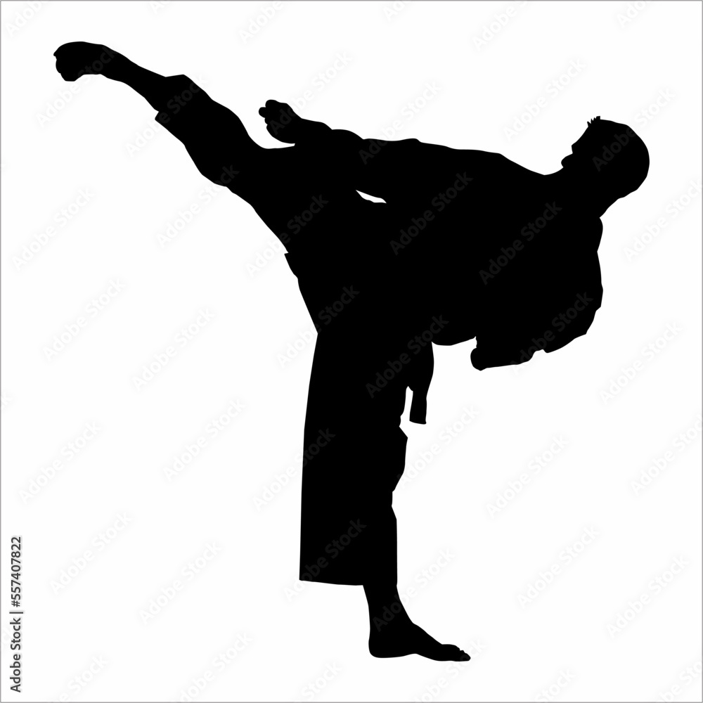 karate silhouette Stock Vector | Adobe Stock