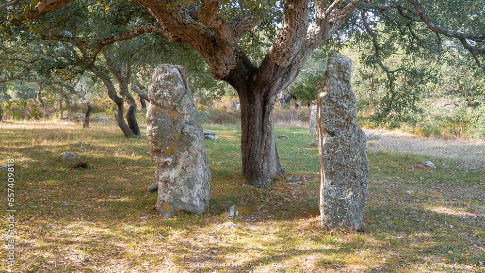 Menhir megalith stone in Sardinia Sardegna Italy big megalith stone ...