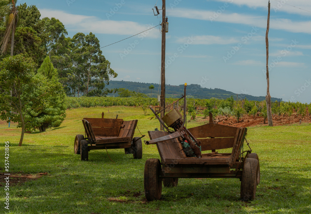 rural life system in Misiones. rural field work in mission colonies ...
