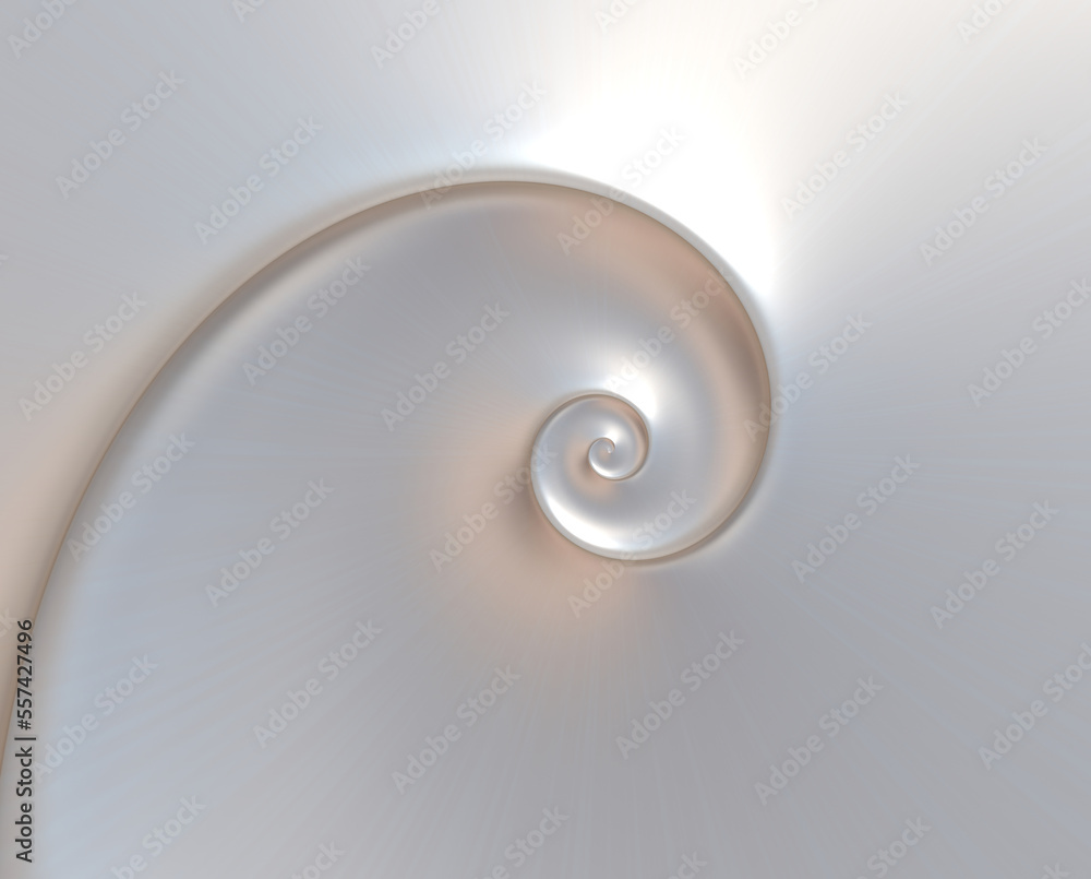 Nautilus shell abstract background - nautilus shell nacre backdrop ...